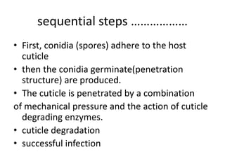 Ahmad Ali presentation | PPT