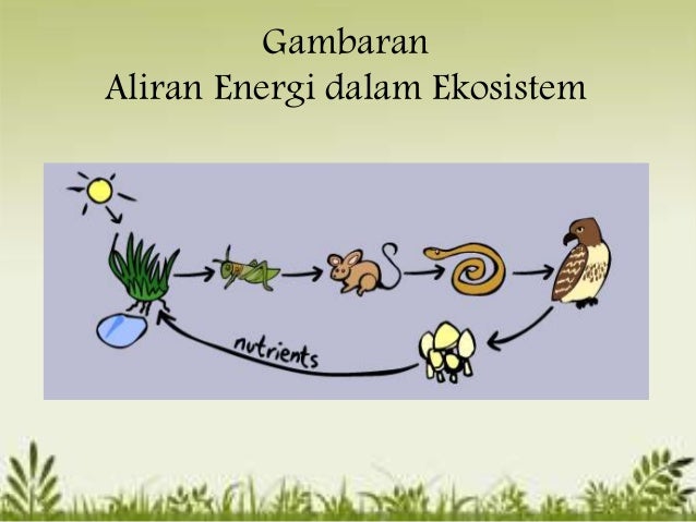 Gambar Aliran Energi - Perumperindo.co.id