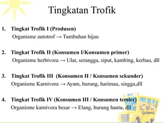 Aliran energi dalam ekosistem | PPTX