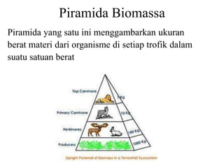 Aliran energi dalam ekosistem | PPTX