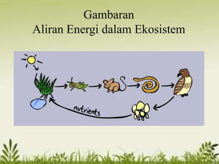 Aliran energi dalam ekosistem | PPT