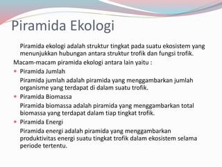 Aliran_Energi_Dalam_Ekosistem.pptx