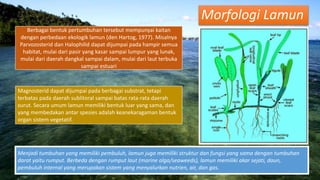 Aliran energi dalam ekosistem lamun | PPT