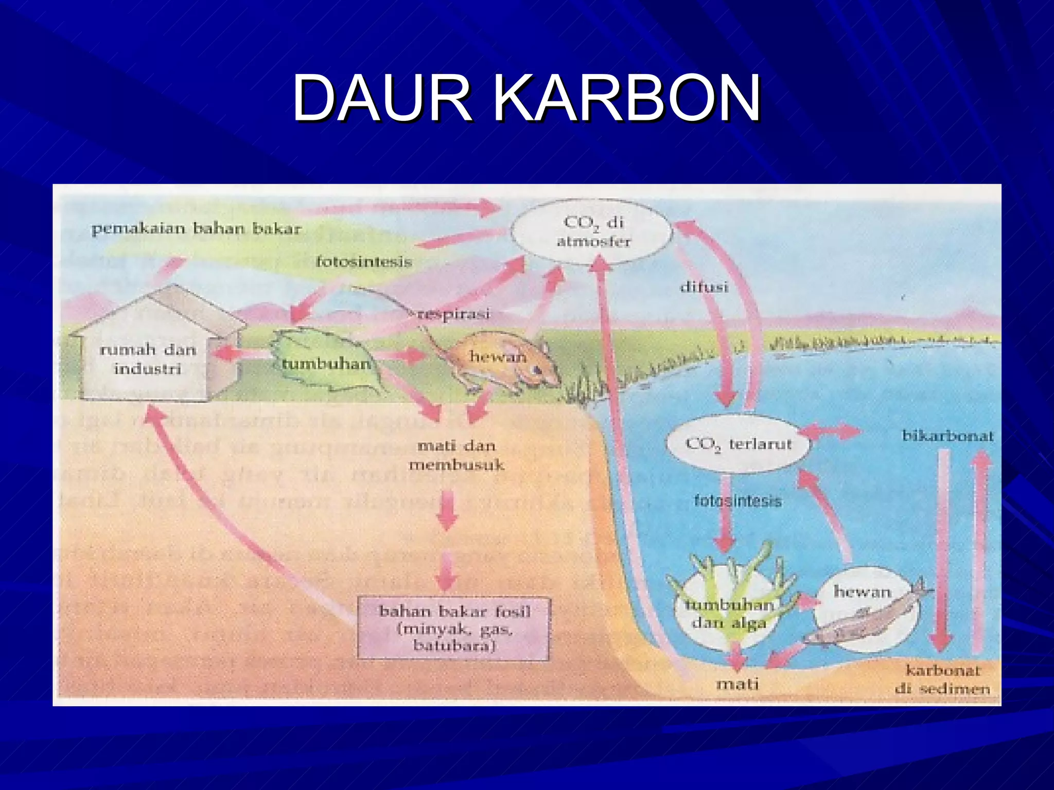 Aliran energi dan daur biogeokimia | PPT