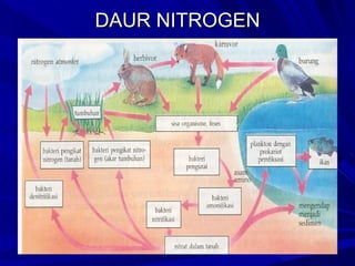 Aliran energi dan daur biogeokimia | PPT