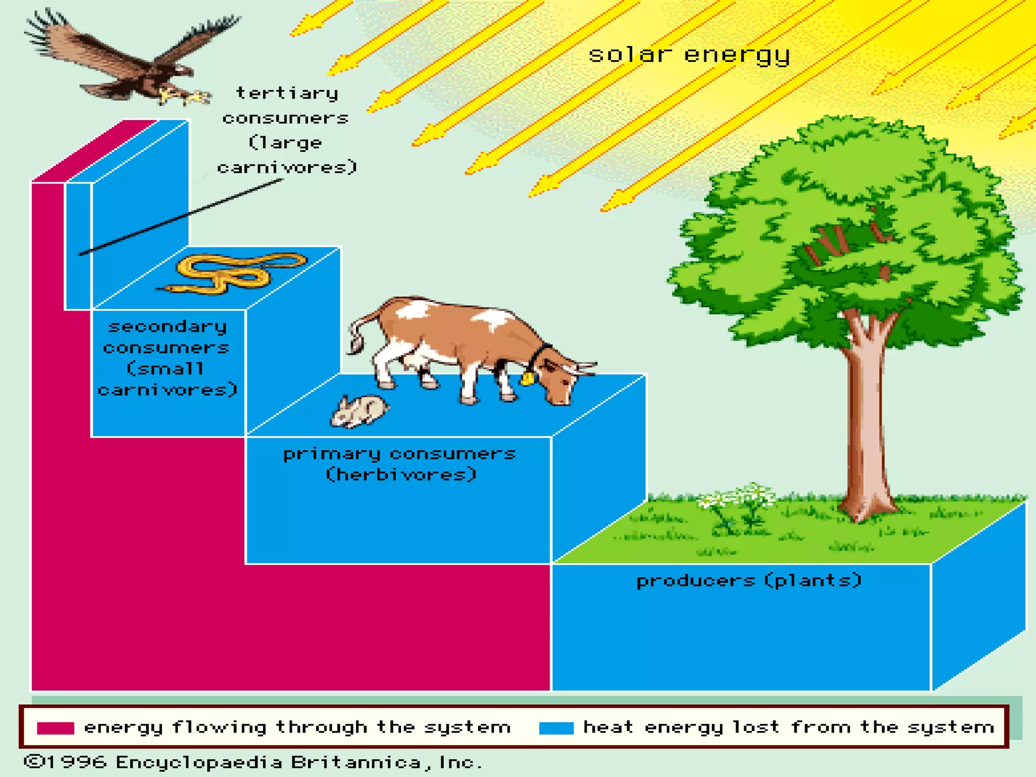 Aliran energi dan siklus kehidupan dalam ekosistem [kel 3&4 (x)] | PPT