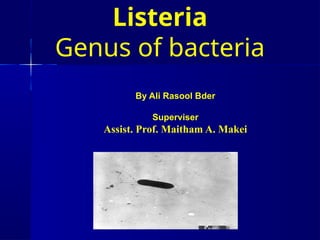 ali rasool listeria.pptxfemkmnkenkndkendcn | PPTX