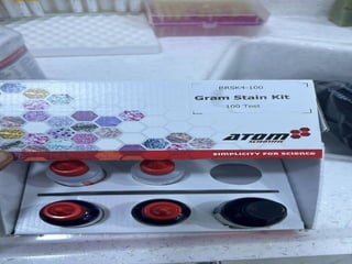 ali rasool listeria.pptxfemkmnkenkndkendcn | PPTX