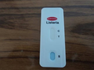 ali rasool listeria.pptxfemkmnkenkndkendcn | PPTX