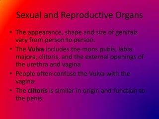 Ali rossini our female bodies c hapter 1 | PPT