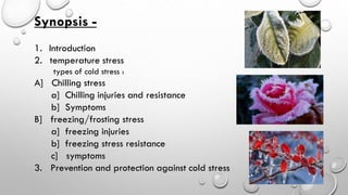 Cold stress by Alisha Dewangan botany.pdf