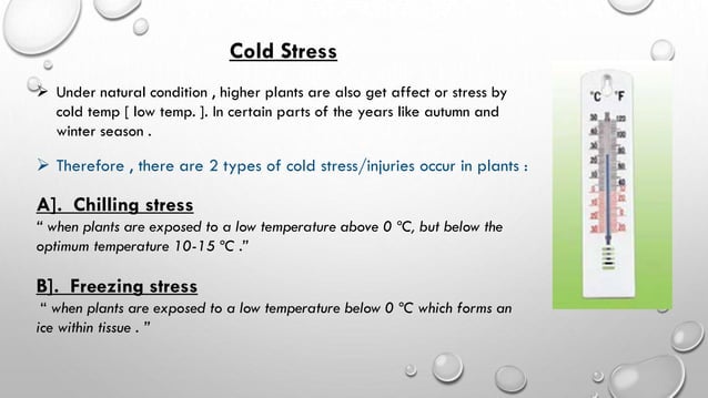 Cold stress by Alisha Dewangan botany.pdf