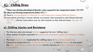 Cold stress by Alisha Dewangan botany.pdf