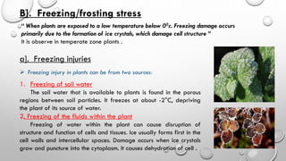 Cold stress by Alisha Dewangan botany.pdf
