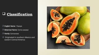 production technology of papaya presentation [1].pptx