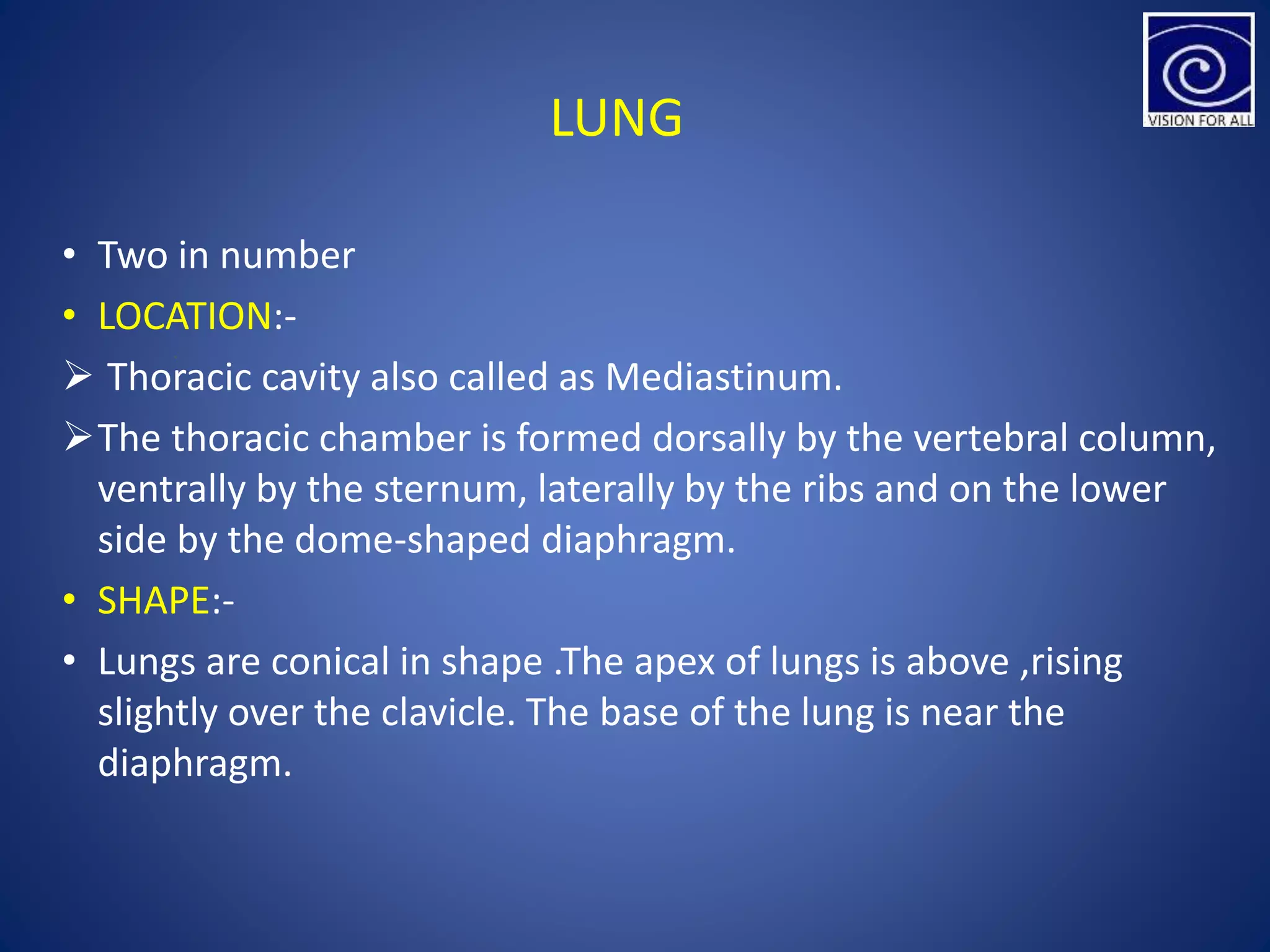 Respiratory System (afreen khan) | PPTX