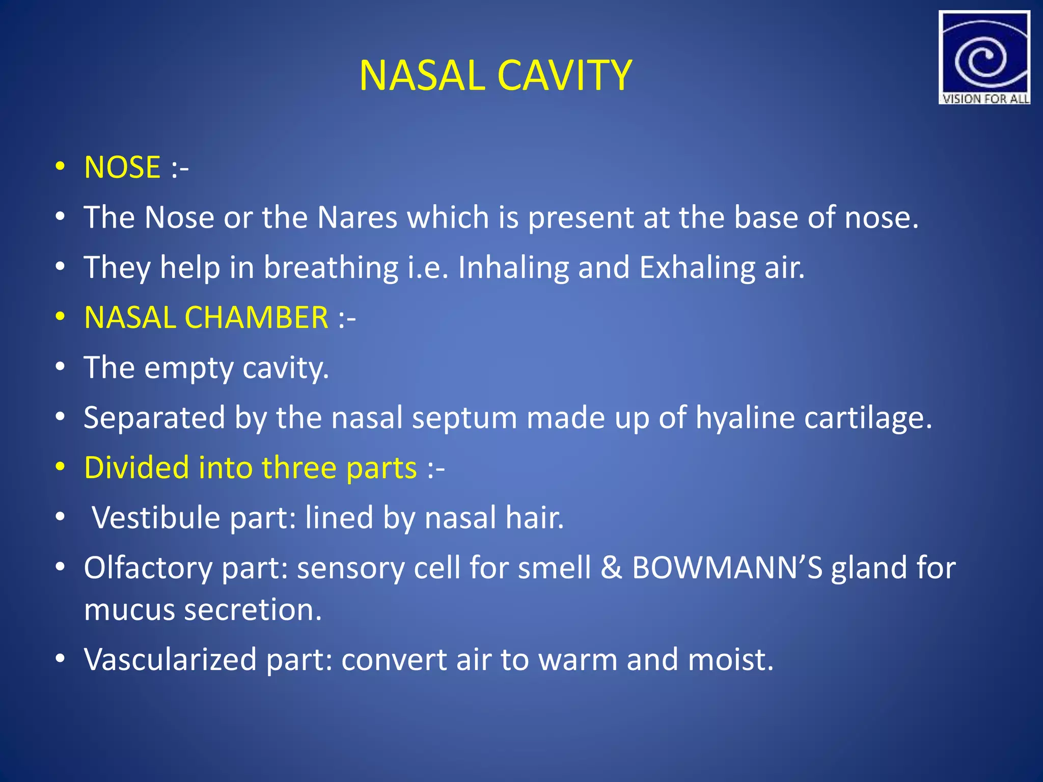 Respiratory System (afreen khan) | PPTX