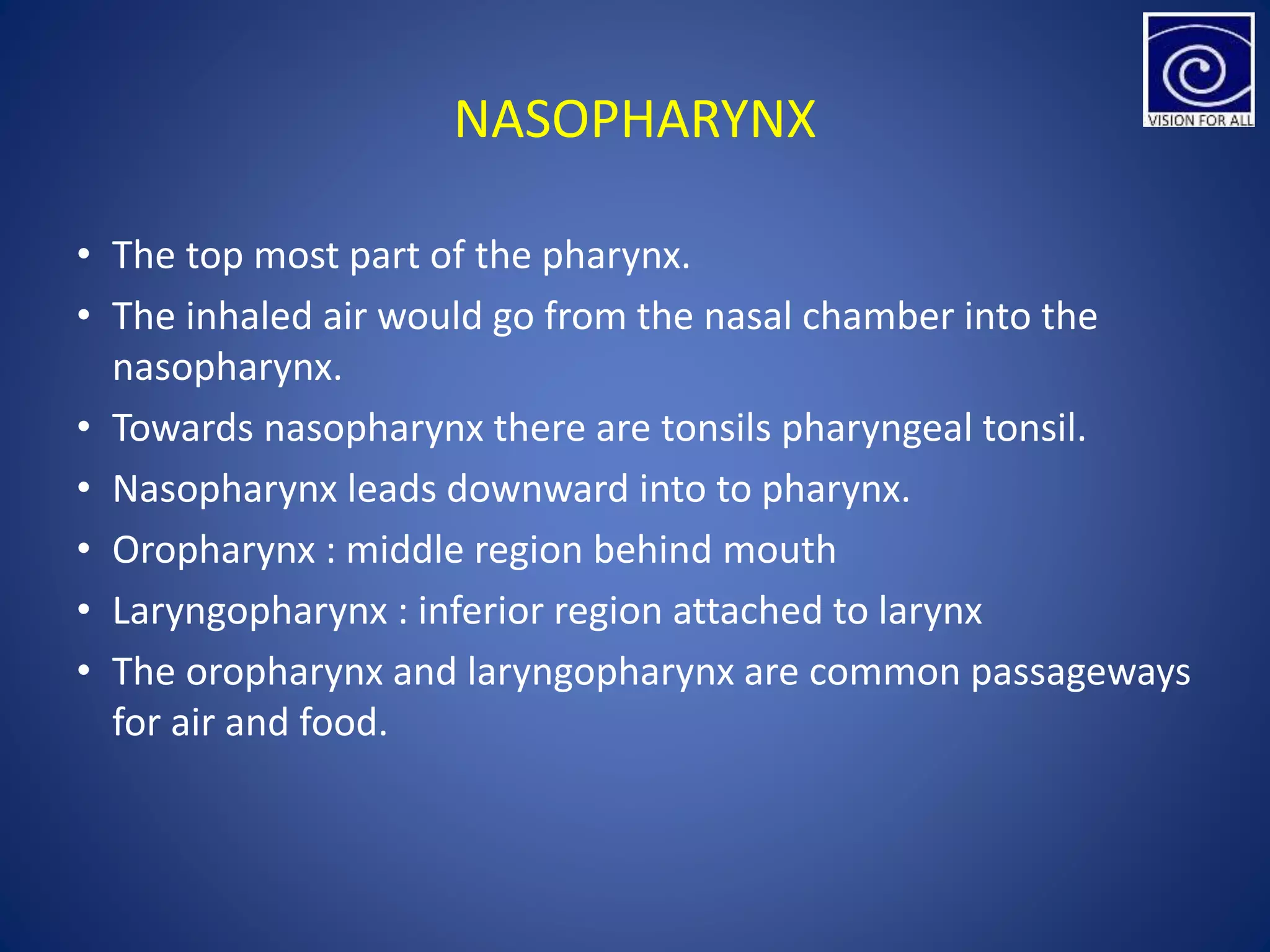 Respiratory System (afreen khan) | PPTX