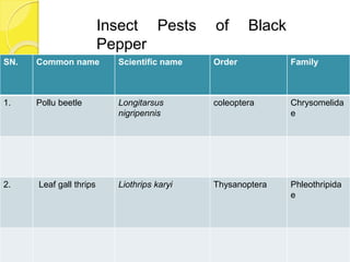 Major pests of Black Pepper,cinnamon and clove | PPTX