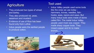 Indus Valley Civilization | PPTX