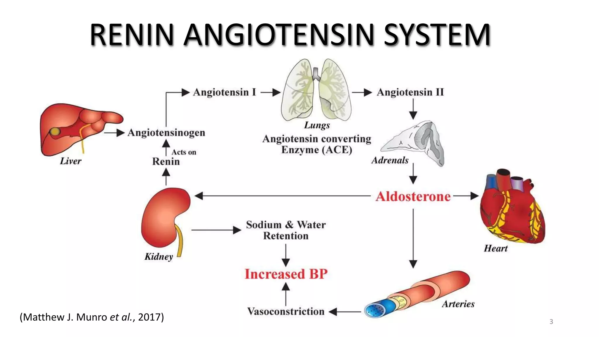 Discovery of Aliskiren (Renin Inhibitor) | PPTX