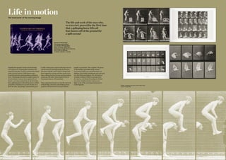 Editorial/Copywriting: Magazine (print and online) | PDF