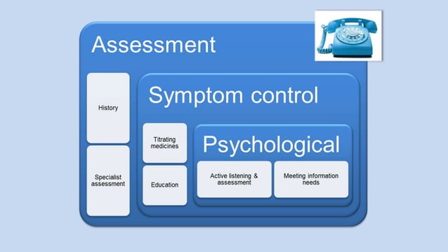 Alison Leary- MS caseload update | PPT