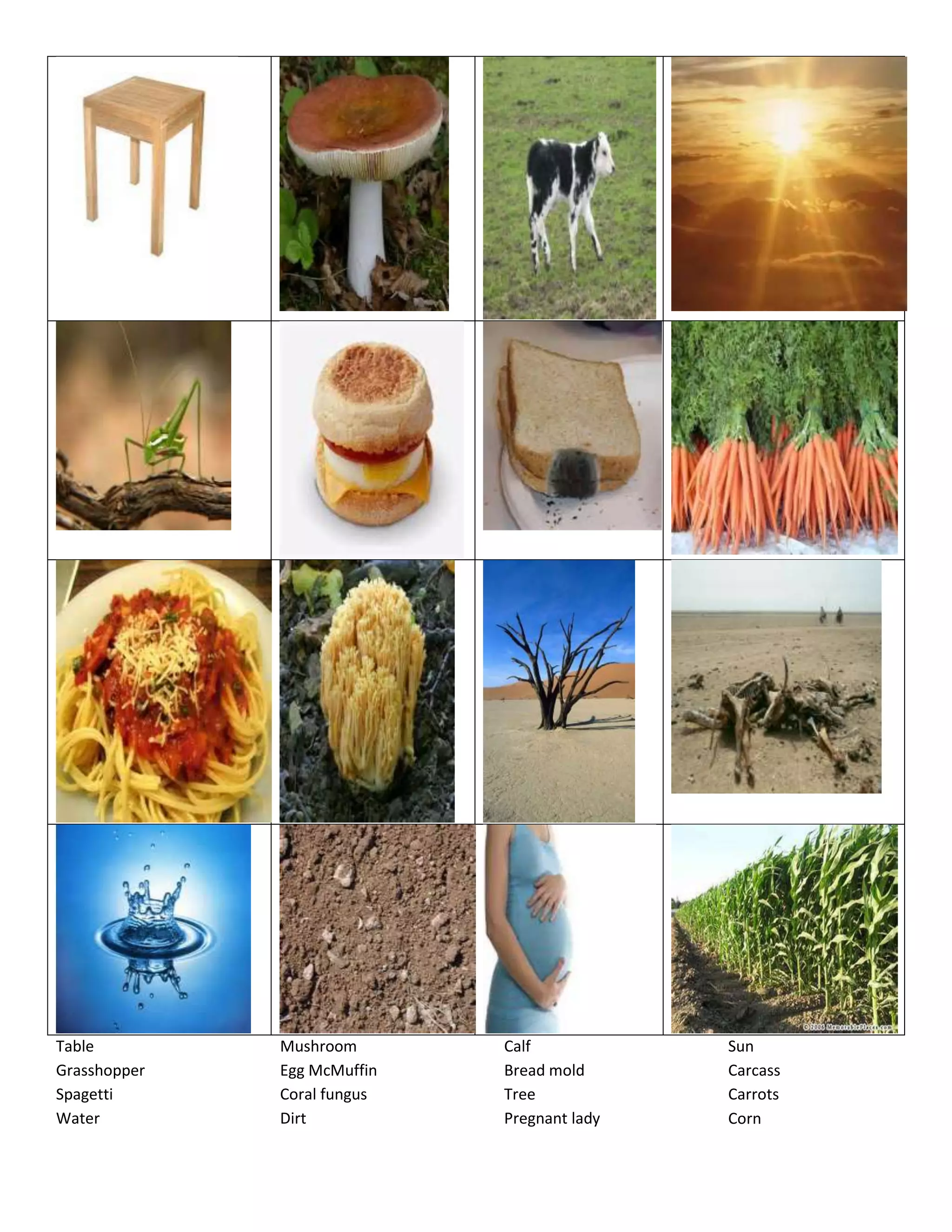 Alive, never alive pictures | DOCX