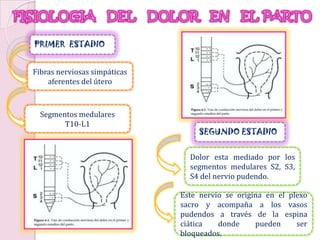 ALIVIO DEL DOLOR EN EL PARTO | PPTX