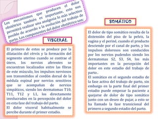 ALIVIO DEL DOLOR EN EL PARTO | PPTX