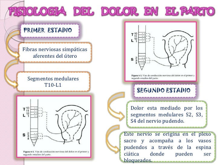 ALIVIO DEL DOLOR EN EL PARTO