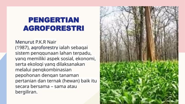 Ali Wafa_Tugas 1 praktikum agroforestri.pptx