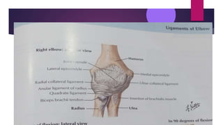Upper limb LIGAMENTS.pptx