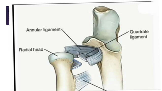 Upper limb LIGAMENTS.pptx
