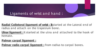 Upper limb LIGAMENTS.pptx
