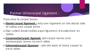 Upper limb LIGAMENTS.pptx