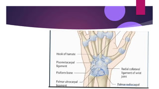 Upper limb LIGAMENTS.pptx