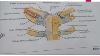 Upper limb LIGAMENTS.pptx