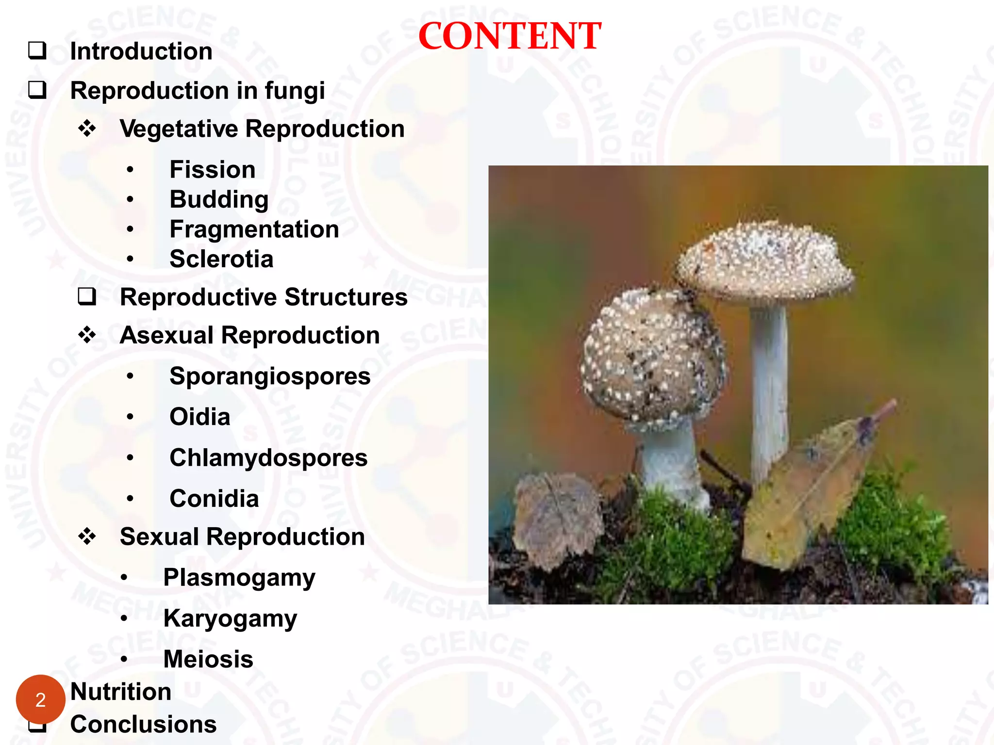 Different modes of reproduction of fungi and reproductive structure and nutrition.pptx