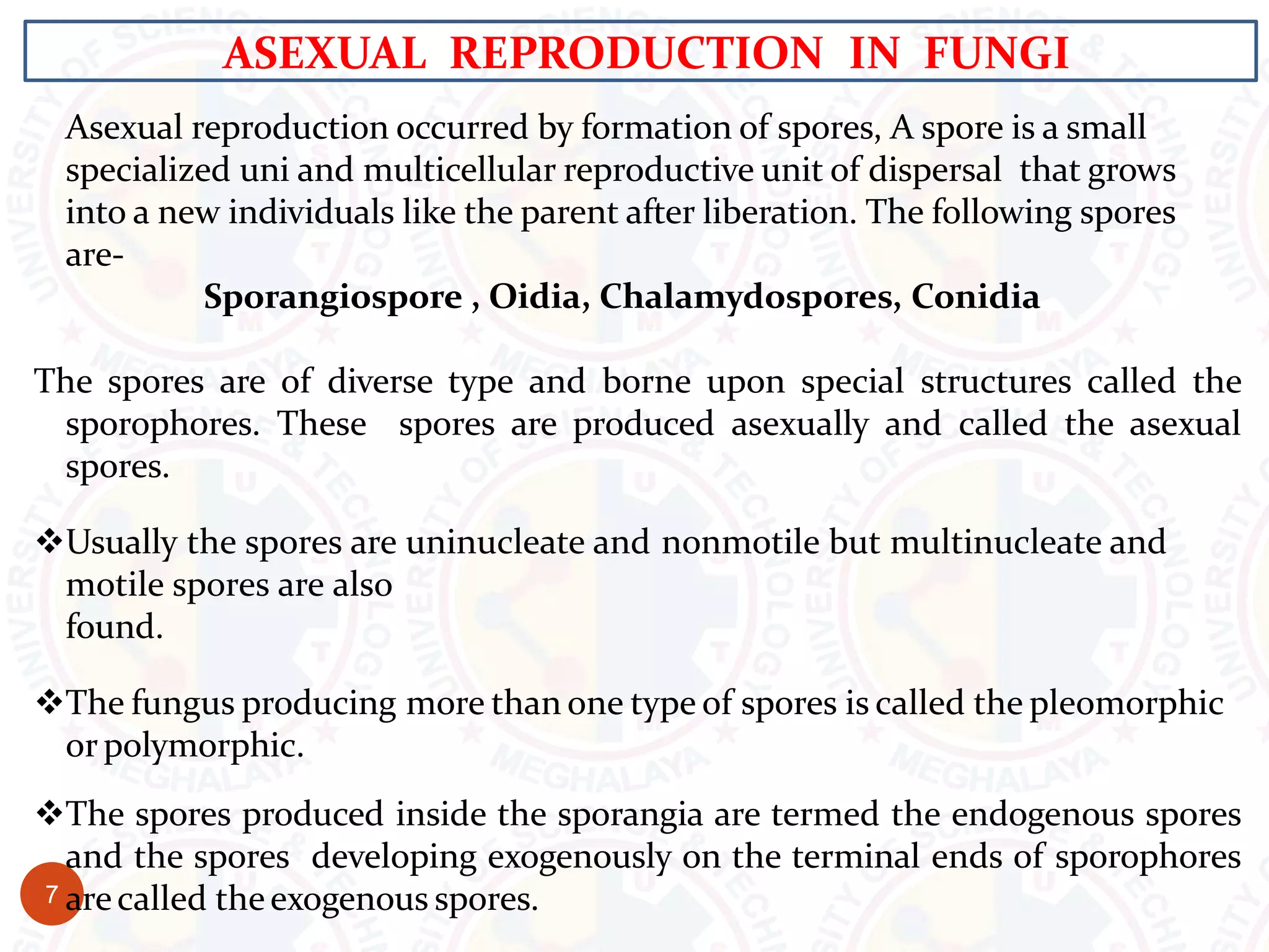 Different modes of reproduction of fungi and reproductive structure and nutrition.pptx