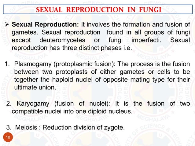 Different modes of reproduction of fungi and reproductive structure and nutrition.pptx