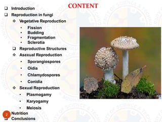 Different modes of reproduction of fungi and reproductive structure and ...