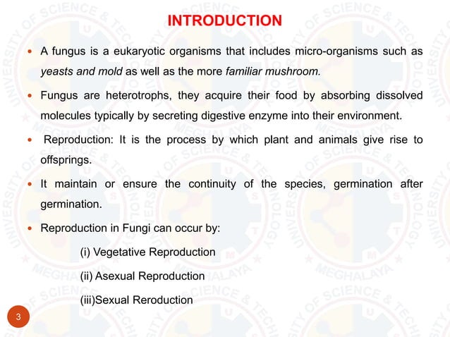 Different modes of reproduction of fungi and reproductive structure and nutrition.pptx