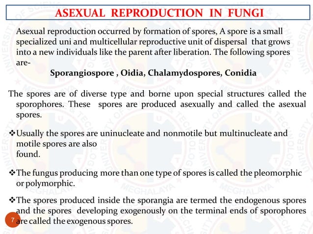 Different modes of reproduction of fungi and reproductive structure and nutrition.pptx