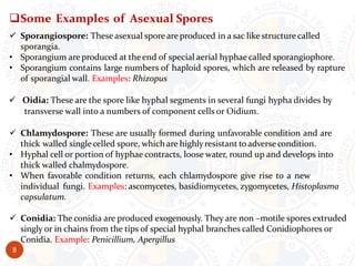 Different modes of reproduction of fungi and reproductive structure and ...
