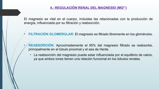 regulación renal potasio,calcio, fosfato y magnesio.pptx
