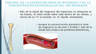 regulación renal potasio,calcio, fosfato y magnesio.pptx