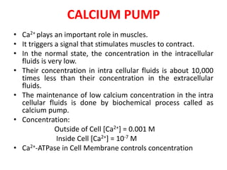 Biological active Alkaline earth metal ions | PPTX