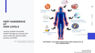 Alkaline drinking water | PDF