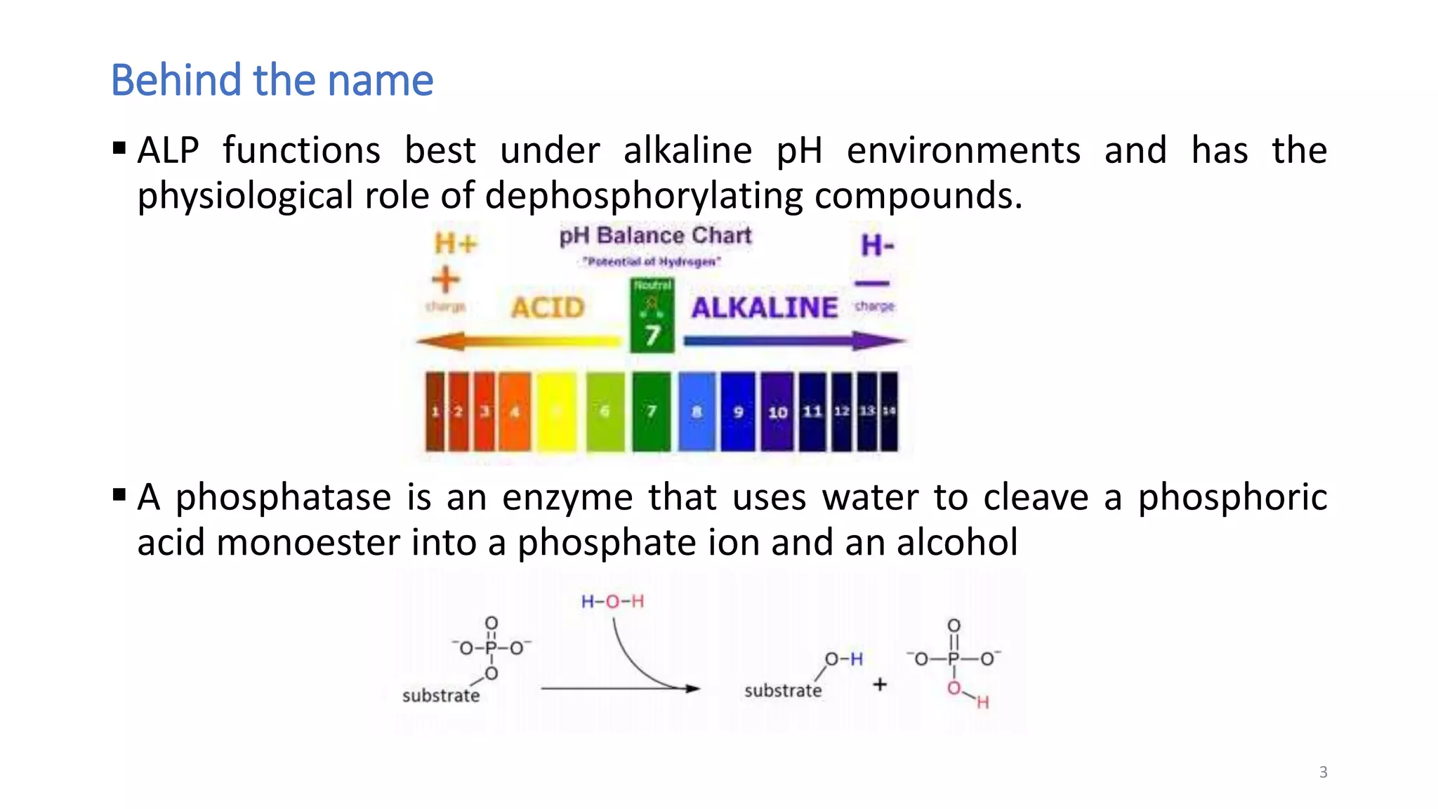 Alkaline phosphatase- Basics | PPSX